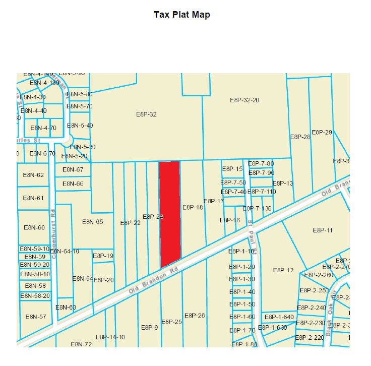 2650-Tax Map – Walter Michel
